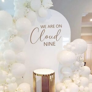 cantly we are on cloud nine wall decal - cloud 9 baby shower decorations,bachelorette party decorations, bride to be party supplies, cute baby shower decor, bridal shower, engagement photobooth backdrop(on cloud 9 sticker)