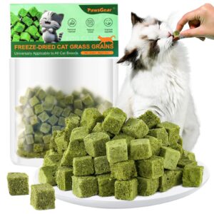 60g/2.12oz cat grass teething toy hairballs,chew treats for cats,edible cat chew toys,natural for cats,teeth cleaning and hairball removal