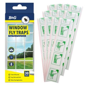 b&g clear window fly traps (30-pack), clear fruit fly sticky traps, gnat flypaper, non-toxic glue, odorless house fly strips, durable sticky fly traps for indoors, fly paper indoor for home