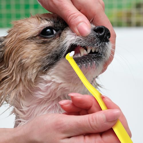 KALIONE 5pcs Dog Cat Toothbrush for Pet Dental Care, Micro Head Pets Toothbrush with Soft Bristles for Dog Oral Hygiene Deep Clean, Multi-Angle Round Pointed Cat Toothbrush