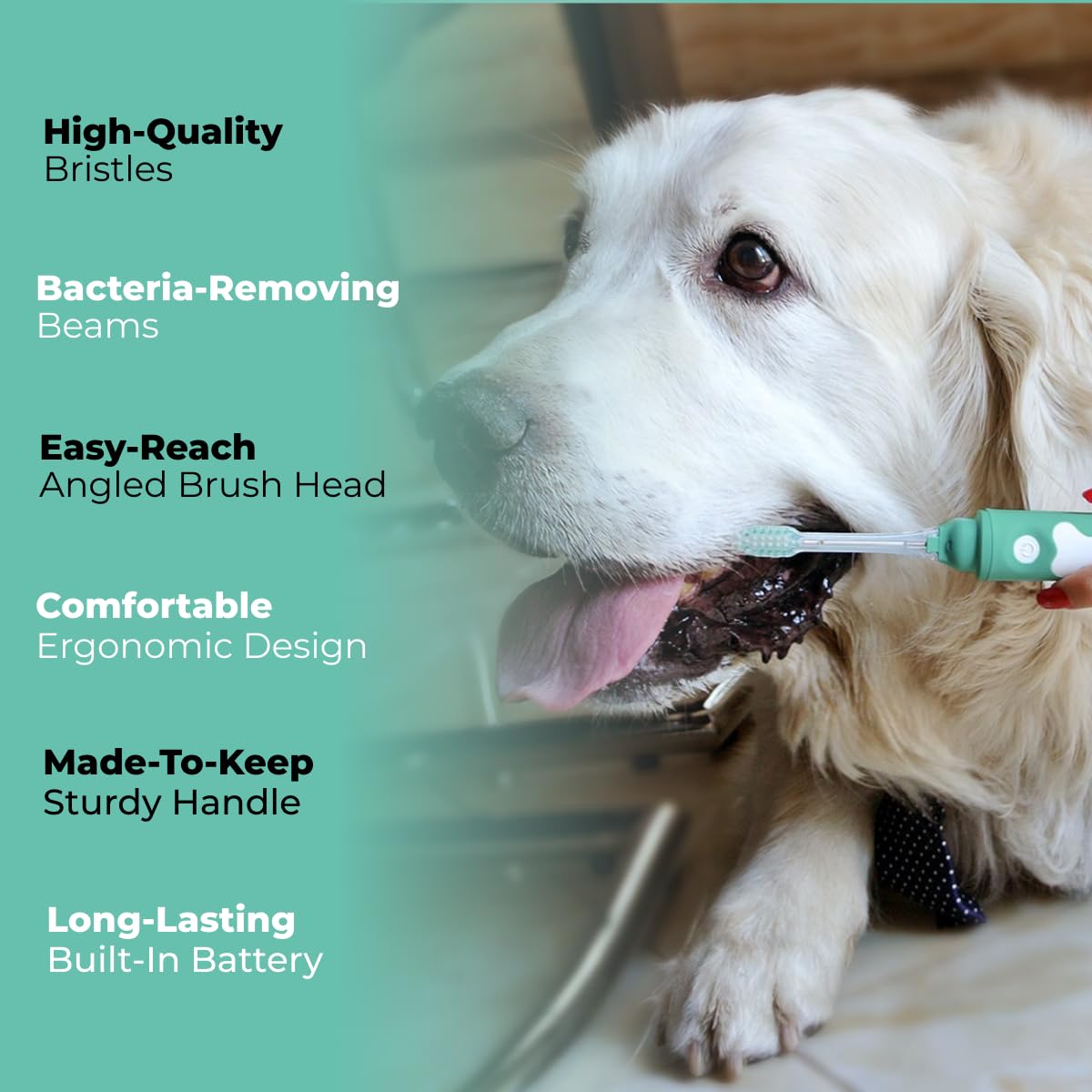 petsie Dog Toothbrush | Innovative Eletrolytic Technology | Improves Oral Health & Reduces Bad Breath | No Vibrations & Silent Dog Teeth Cleaning Brush | No Toothpaste Needed | Dog Teeth Cleaning Kit