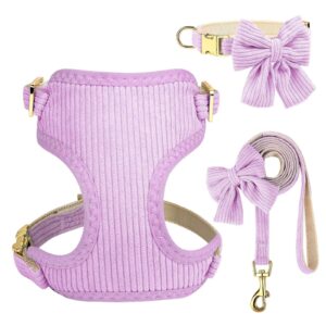 didog cute small dog harness collar & leash set, adjustable dog collars and leashes with bowtie, breathable soft mesh padded dog vest for puppies small dogs walking, purple, m