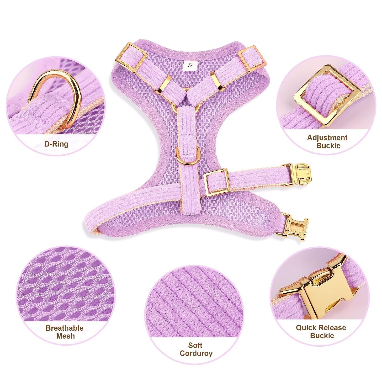 Didog Cute Small Dog Harness Collar & Leash Set, Adjustable Dog Collars and Leashes with Bowtie, Breathable Soft Mesh Padded Dog Vest for Puppies Small Dogs Walking, Purple, M