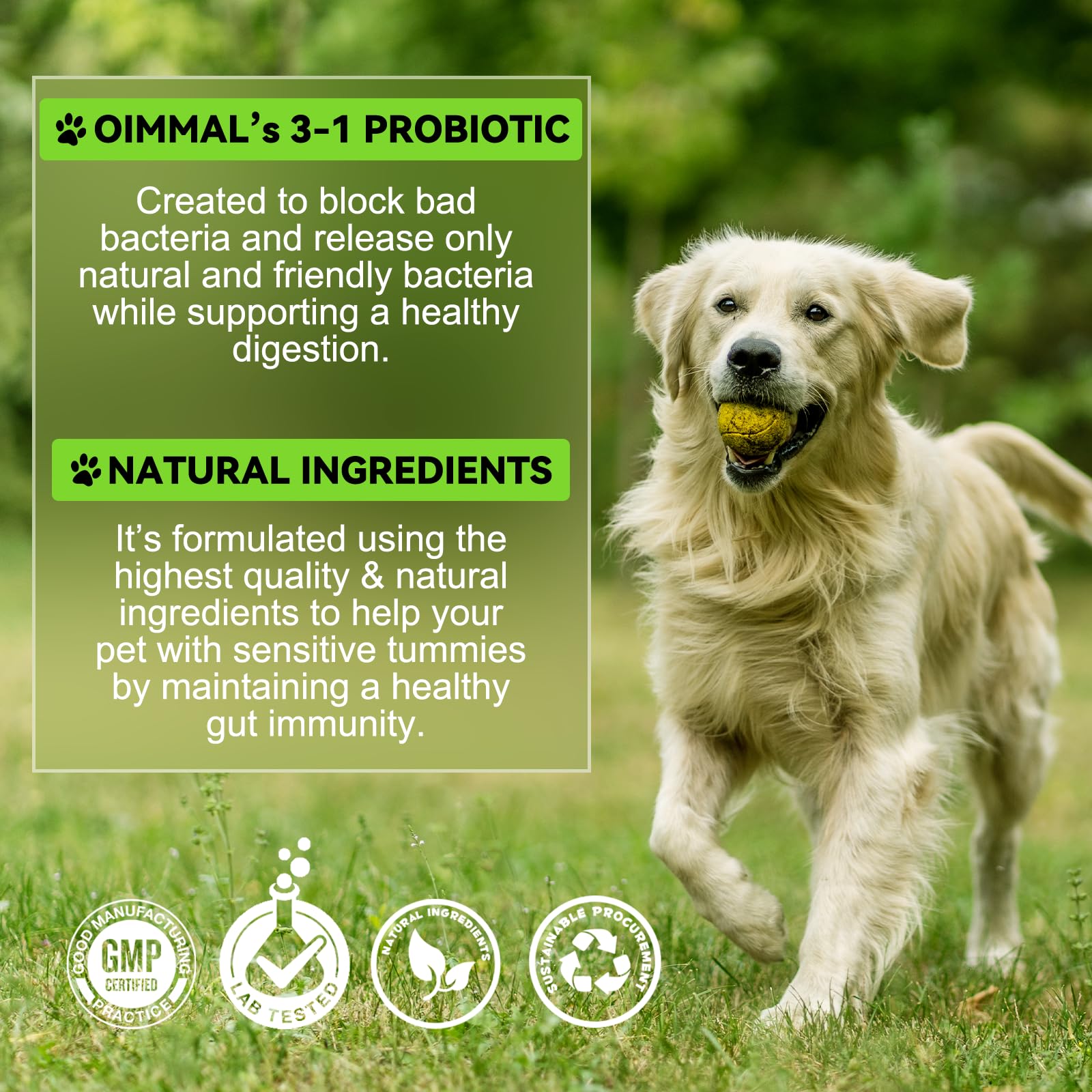 Probiotics for Dogs，3-in-1 Dog Probiotics，Dog Probiotics for Digestive Support, Dog Probiotic Supplements，Pet Probiotics for Dogs， Liquid Probiotics for Dogs | 2 Oz