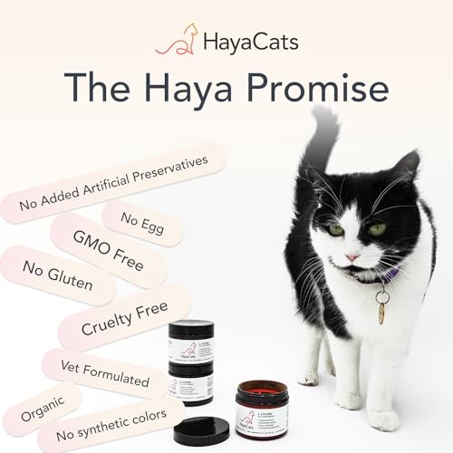 Haya Pets Lysine Cat Supplements Immunity Booster Powder for Respiratory Support, Eye Health, Runny Nose, Cat Herpes, and Allergy Support