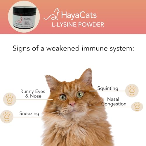 Haya Pets Lysine Cat Supplements Immunity Booster Powder for Respiratory Support, Eye Health, Runny Nose, Cat Herpes, and Allergy Support