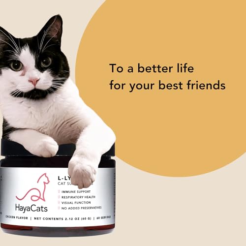 Haya Pets Lysine Cat Supplements Immunity Booster Powder for Respiratory Support, Eye Health, Runny Nose, Cat Herpes, and Allergy Support