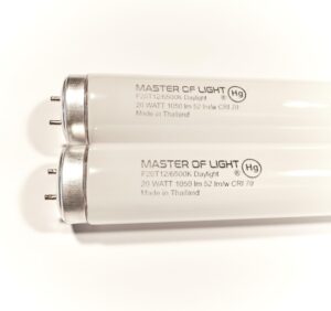 f20t12/d (2 pack) 24 inch 20 watt t12 daylight fluorescent tube light bulb 20w 6500k replaces - f20t12/d/eco/upc f20t12/sun/eco f20t12/d/eco f20t12/d/alto (2)