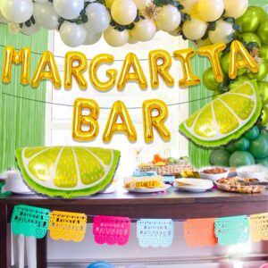 JeVenis 20 PCS Margarita Party Decorations Margarita Bar Decorations Margarita Balloon Arch Margarita Balloon for Mexican Fiesta Cactus Bridal Shower Baby Shower Wedding