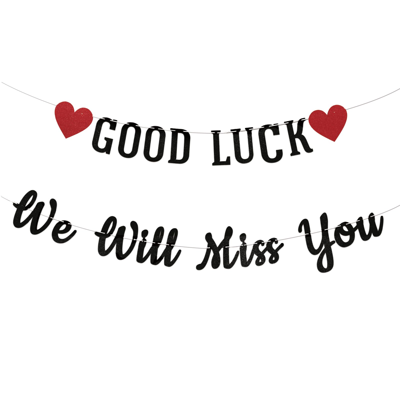 Good Luck We Will Miss You Banner - Graduation Retirement Party Decorations, Going Away Party Decor, Farewell Party Decorations, Office Work Party Supply Black Glitter