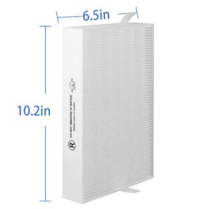 Breshair HPA5100B True HEPA Replacement Filter Compatible with Honeywell Air Purifiers HPA5100 HPA5150 HPA3100, 2 R HEPA, 2 S Carbon and 4 A Pre-Filters, Part # HRF-R1 HRFSC1 HRF-ARVP100 HRF-A100