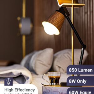 Sunco 24 Pack LED Light Bulbs, E26 Base Lamp Bulbs A19, [Focos LED para Casa], 5000K Daylight, 8W (60 Watt Equivalent), 850 LM, Non-Dimmable, 25000 Lifetime Hours for Bedroom, Bathroom UL