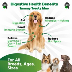 Probiotics for Dogs All Ages - Dog Probiotics for Digestive Health - Digestive Enzymes for Gut Flora, Diarrhea & Bowel Support - Gut Health Support Prebiotics for Dogs - 90 Probiotic Chews for Dogs