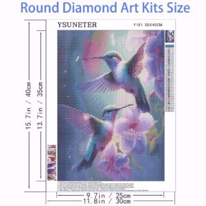 Hummingbird Diamond Art Kits for Adults, Birds Round Full Drill Diamond Painting Kits for Beginners Gem Art Painting Kits, DIY 5D Diamond Dots Painting with Diamond Arts and Crafts Decor 12x16inch