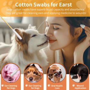 100 PCS 6 Inch Long Cotton Swabs in Box - Professional Large Cotton Swabs with Bamboo Handle - Double Sided Dog Ear Swabs - Specially Designed Big Cotton Swabs for Dog Ear, Cleaning Solution