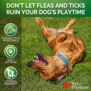 Flea and Tick Prevention for Dogs Chewables - Natural Dog Flea and Tick Treatment - Flea and Tick Chews for Dogs - Oral Flea Pills for Dogs Supplement - All Breeds and Ages - Made in USA