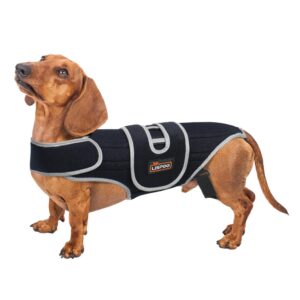 tipoop dog back brace for ivdd, arthritis and pain relief, ivdd back brace for dogs, accelerates surgical recovery, back brace for dogs prevents back problems in small dogs and large dogs m