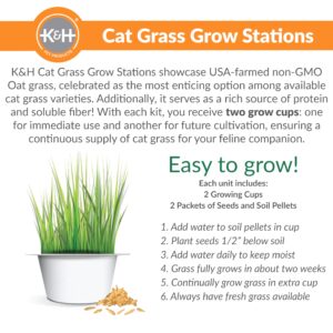 K&H Pet Products EZ Mount Cat Grass Grow Station for Window - Healthy Home Grown Grass Cat Kit for Bored Indoor Adult Cats, Pairs Purr-fectly with Cat Window Perches, Farmed in USA Non-GMO Grass