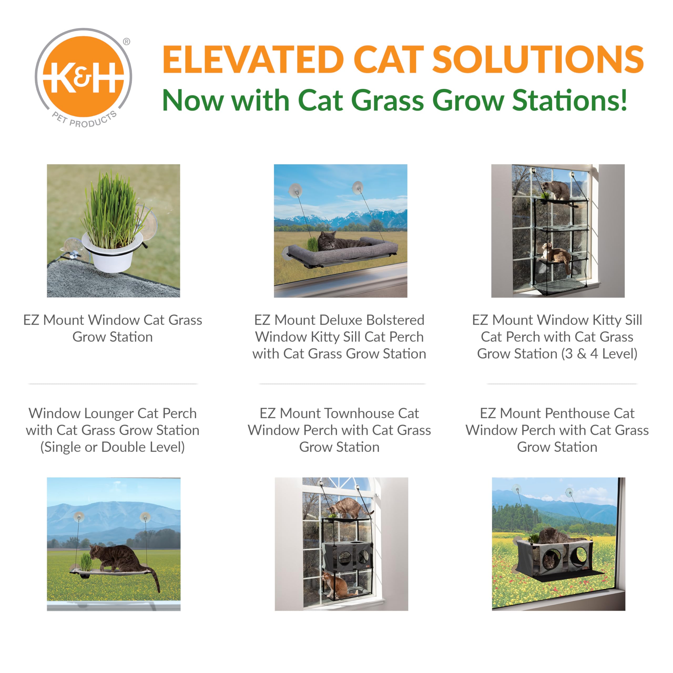 K&H Pet Products EZ Mount Cat Grass Grow Station for Window - Healthy Home Grown Grass Cat Kit for Bored Indoor Adult Cats, Pairs Purr-fectly with Cat Window Perches, Farmed in USA Non-GMO Grass