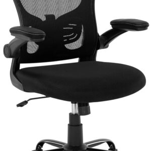 ZLchair Office Chair Ergonomic Desk Chair, Mesh Computer Home Office Desk Chairs with Adjustable Lumbar Support and Flip-up Armrests, Swivel Comfy Task Executive Chair, Black