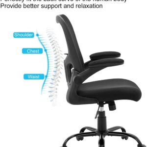 ZLchair Office Chair Ergonomic Desk Chair, Mesh Computer Home Office Desk Chairs with Adjustable Lumbar Support and Flip-up Armrests, Swivel Comfy Task Executive Chair, Black