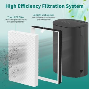 FCFMY 4 Packs F2 A2 True HEPA Replacement Filter Compatible with 3M Filtrete Room Air Cleaner Purifier Models FAP-C02-A2 FAP-C03-A2 FAP-T03-A2 FAP-C02WA-G2 FAP-C03BA-G2 FAP-T03BA-G2 FAP-SC02N