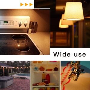 Sphoon Dimmable Salt Lamp Bulbs E12 LED Night Light Bulbs 40 Watt Equivalent 4W,Small Filament Bulb for Candelabra,Sewing Machine,Ceiling Fan,Refrigerator,2200K Warm White 350LM,2 Pack