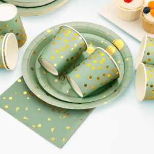 192 Pcs Sage Green Birthday Party Decorations - Sage Green Birthday Plates and Napkins Party Supplies Serve 20 - Sage Birthday Decorations with Birthday Banner Balloon Fringe Curtain for Women Girls