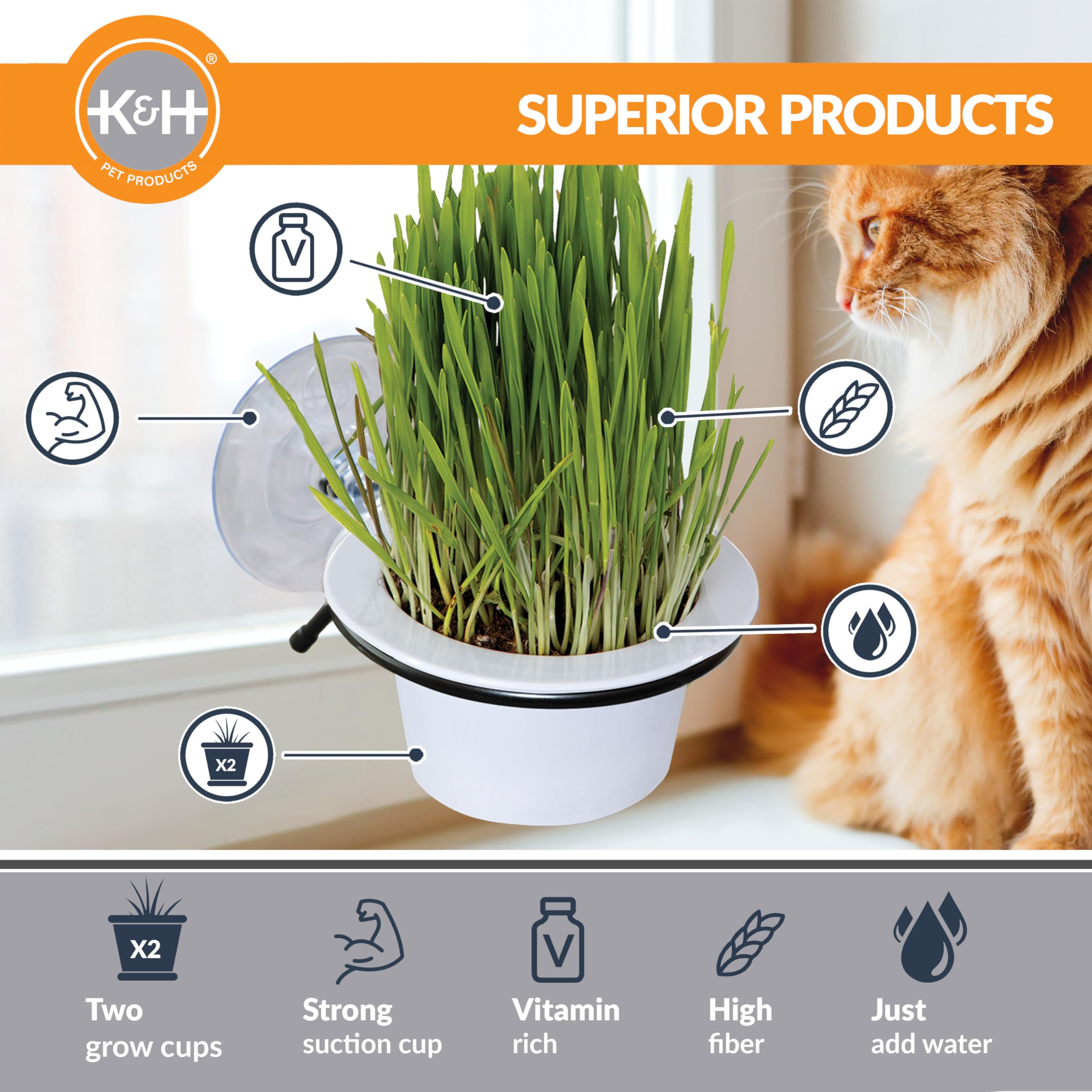 K&H Pet Products EZ Mount Cat Grass Grow Station for Window - Healthy Home Grown Grass Cat Kit for Bored Indoor Adult Cats, Pairs Purr-fectly with Cat Window Perches, Farmed in USA Non-GMO Grass