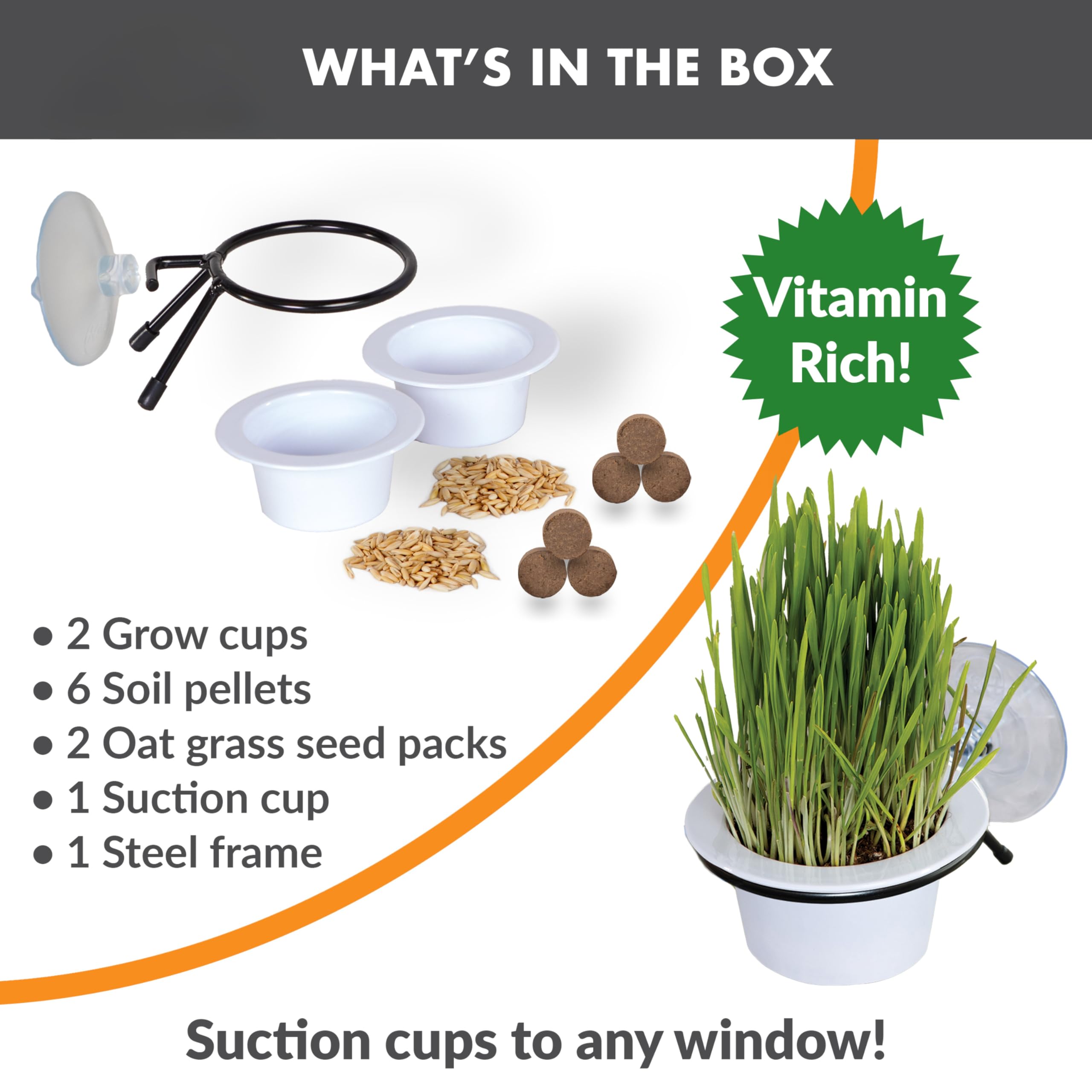 K&H Pet Products EZ Mount Cat Grass Grow Station for Window - Healthy Home Grown Grass Cat Kit for Bored Indoor Adult Cats, Pairs Purr-fectly with Cat Window Perches, Farmed in USA Non-GMO Grass