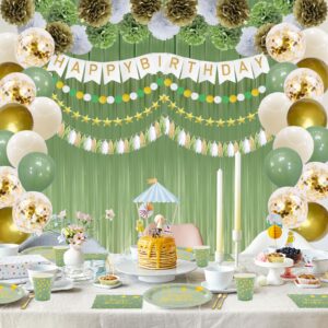 192 Pcs Sage Green Birthday Party Decorations - Sage Green Birthday Plates and Napkins Party Supplies Serve 20 - Sage Birthday Decorations with Birthday Banner Balloon Fringe Curtain for Women Girls