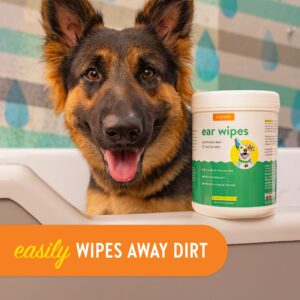 Ear Wipes and Ear Care Pro Solution for Pets | Gentle Ear Wipes (160 Count) and Ear Care Solution (8oz) for Dogs and Cats | Non-Stinging Ear Duo