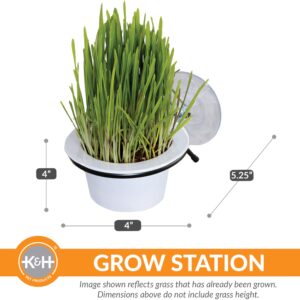 K&H Pet Products EZ Mount Cat Grass Grow Station for Window - Healthy Home Grown Grass Cat Kit for Bored Indoor Adult Cats, Pairs Purr-fectly with Cat Window Perches, Farmed in USA Non-GMO Grass