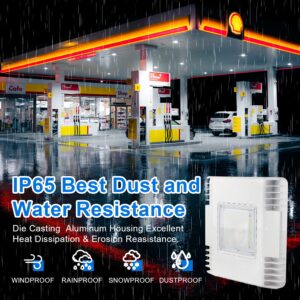 150W LED Canopy Light, 21000LM 5700K Daylight White Gas Station Canopy Light, Surface Mount Commercial Garage Lighting(600W HID/HPS Equivalent), IP65 Waterproof 90-277VAC UL&DLC Listed