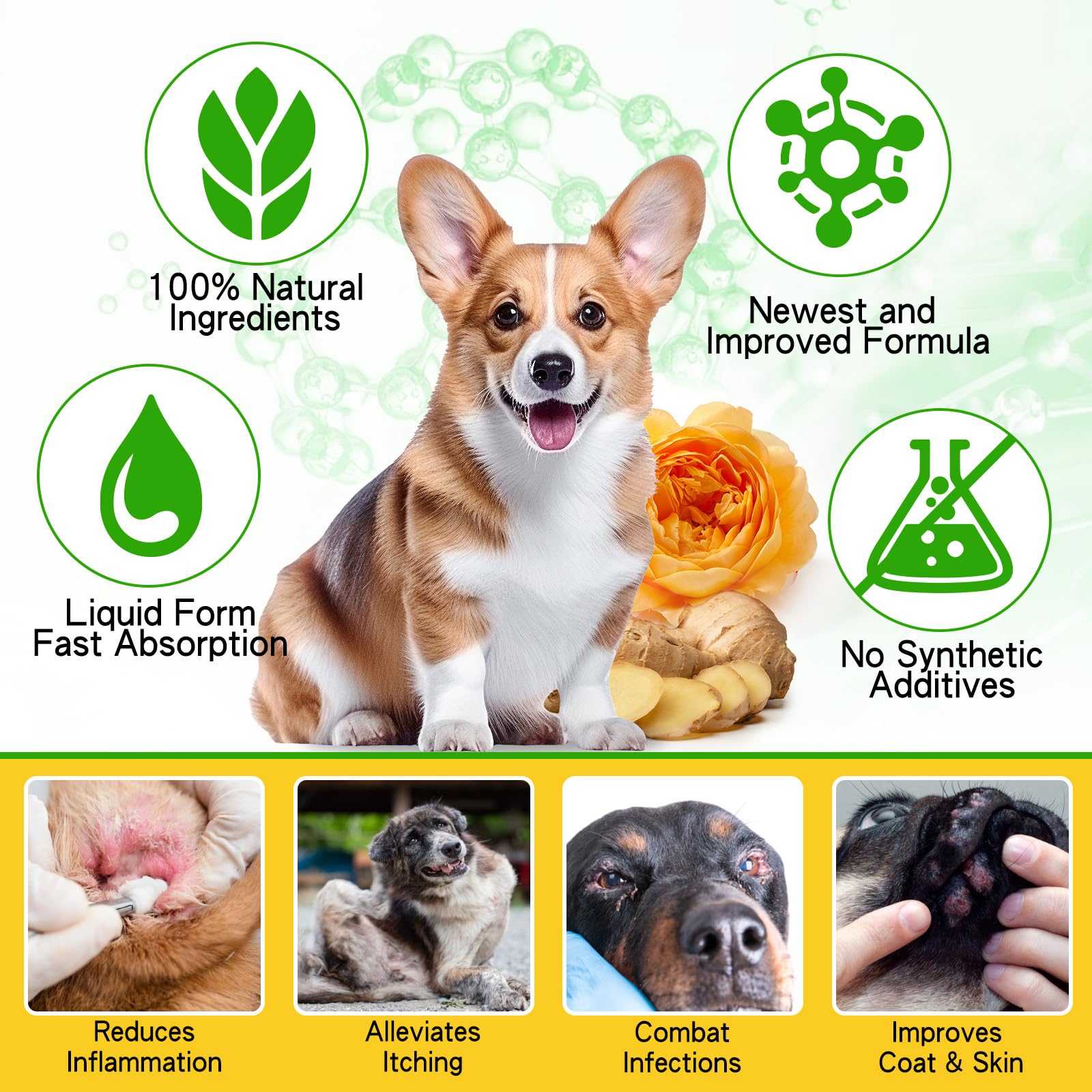 Natural Yeast Infection Treatment for Dogs, Dog Ear Infection Treatment, Dog Allergy Relief, Helps to Support Itch Relief, Inflammation Relief & More, Ear Infection Treatment for Dogs - 2 fl oz