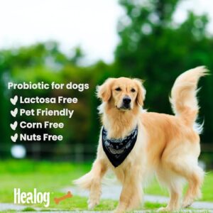 Healog Probiotic for Dogs - 120 Chicken Flavored Soft Chews, Natural Dog Probiotics for Digestive Health, Gut Health for Dogs, Anxiety and Gas Relief, Diarrhea Control, 1 Billion CFU