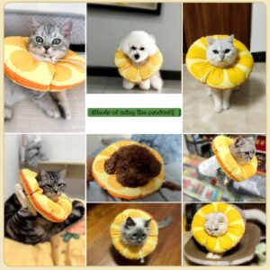 YYanniwani Cat Recovery Soft Collar.Waterproof Soft Recovery Cone Collar. Anti-bite and Anti-Lick Wound Healing Safe Adjustable Elizabethan Collar.(M)