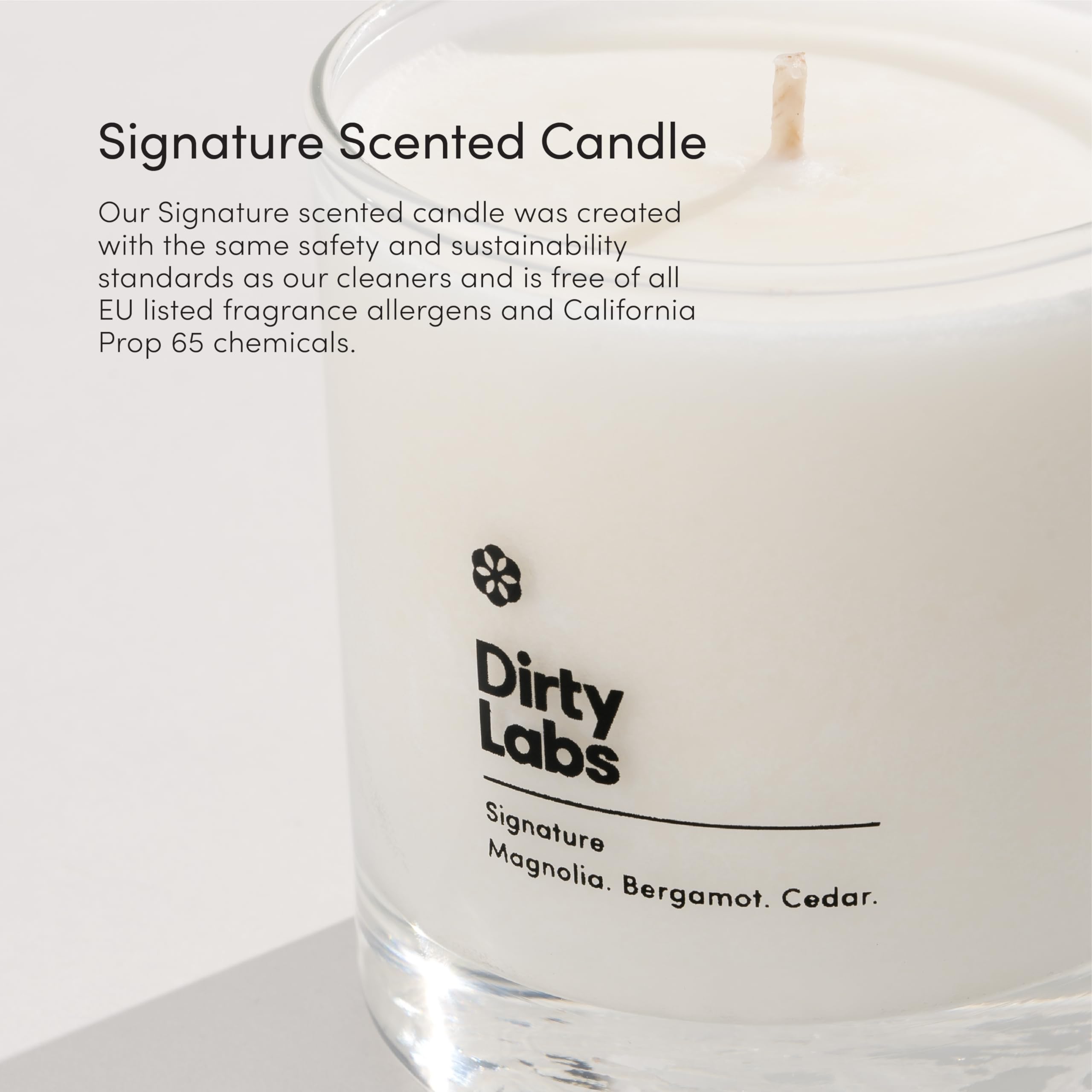 Dirty Labs | Signature Scent | Eco-Friendly Soy Wax Candle | Magnolia. Bergamot. Cedar. | Luxe Home Candle | Vegan, Non-Toxic, Made in USA