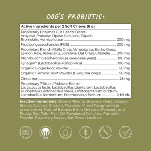 CYMBIOTIKA Dog Probiotic+, Probiotics for Dogs, Gut Health & Immune Support Supplement with Digestive Enzyme and Green Blend, Prebiotics, Postbiotics, Supplements for Dogs, Pumpkin Flavor, 50 Chews