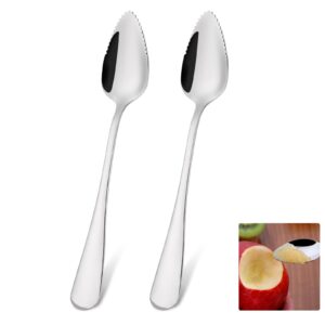 molain stainless grapefruit spoons set, silver utensil tool serrated edge thick gauge handle with non-stick plating for kiwi, dessert, apple, citrus fruit(2pcs)