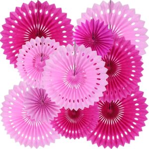 beishida hot pink combination hanging honeycomb round paper fans decoration bachelorette theme tissue paper fan garland for bridal shower women girls birthday wedding party supplies（10packs）