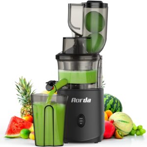 slow masticating cold press juicer: cold pressed juicer machines for vegetable and fruit 200w, matte grey