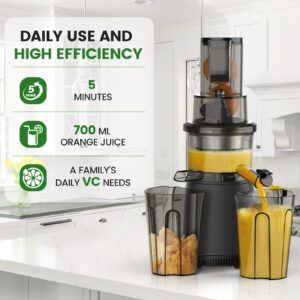 Slow Masticating Cold Press Juicer: Cold Pressed Juicer Machines For Vegetable And Fruit 200W, Matte Grey