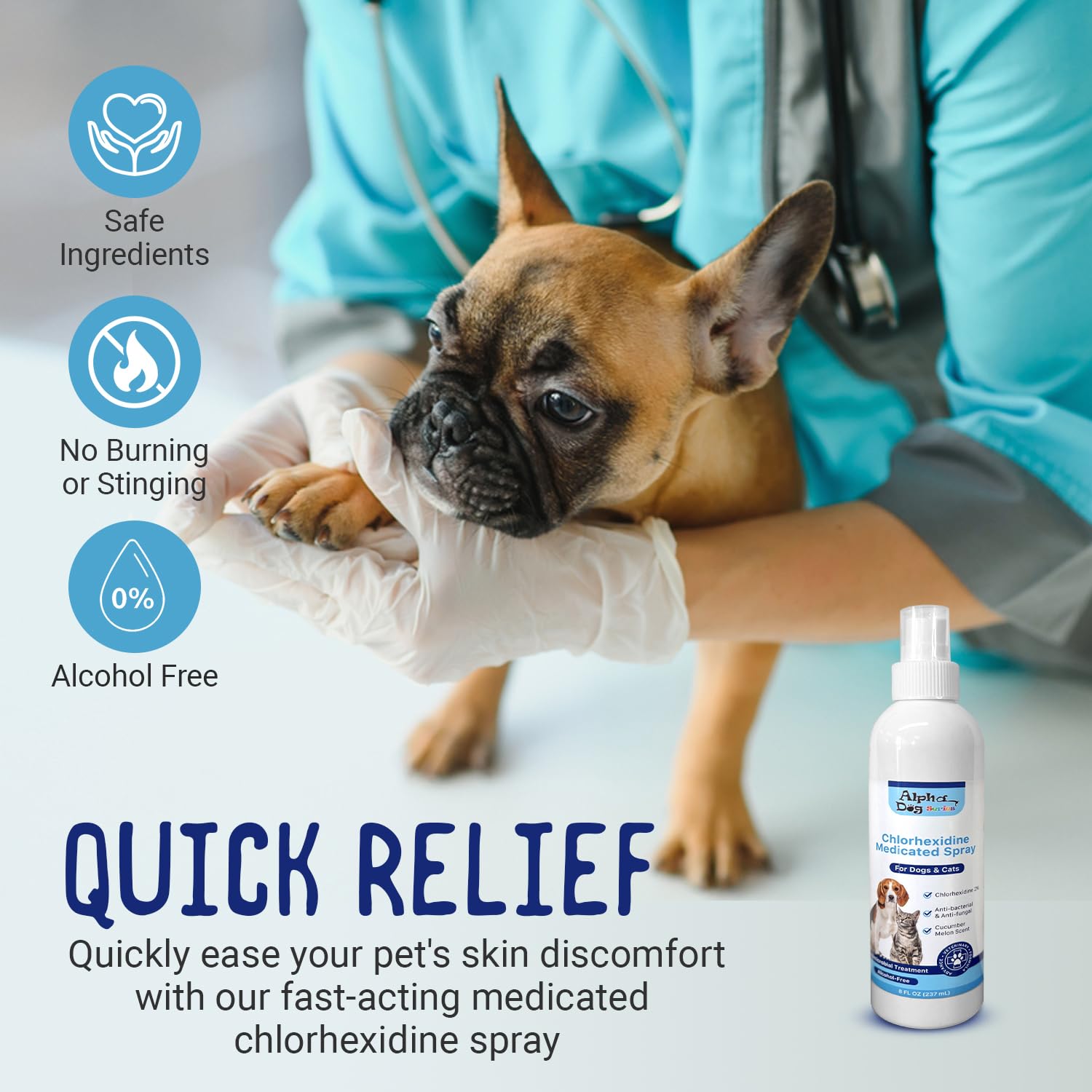 Alpha Dog Series Chlorhexidine Spray (8 oz) – Easy-Apply Skin Relief – Soothes Hot Spots, Rashes in Dogs & Cats - Itch Relief – Lightly Scented