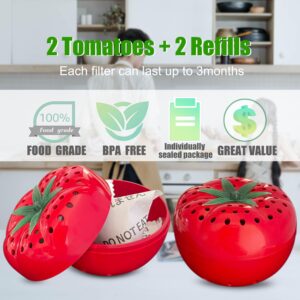 ShuRex Produce Freshness Preserver Saver Kit- Keep Fruits and Vegetables Fresh Longer, Ethylene Gas and Odor Absorber in Refrigerator (2 Pack)