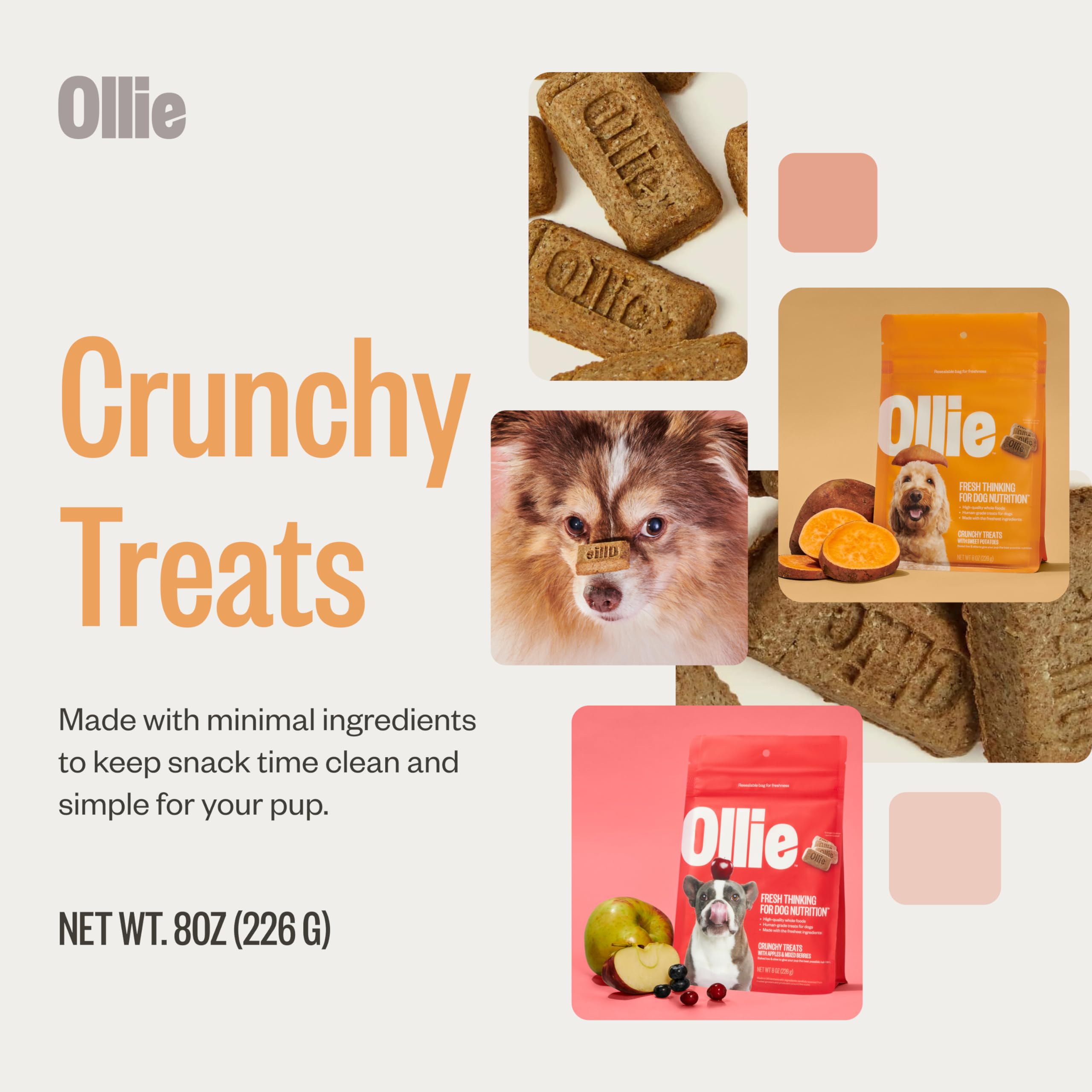 Ollie Crunchy Treats Variety Pack - Apple Berry & Sweet Potato Recipe - Crunchy Dog Treats All Natural - Healthy Dog Treats - 100% Human Grade - Baked in USA Kitchens 16 Oz.