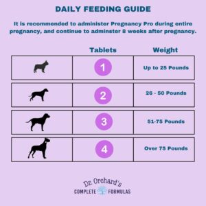 Dr Orchards Pregnancy Pro Premium Dog Supplement for Pregnancy, Prenatal + Postnatal, Lactation and Newborn Health Support, 90 Ct