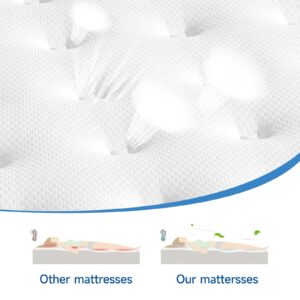 wowttrelax 10 Inch Queen Mattress in a Box - Comfortable Innerspring Mattress with Motion Isolation, Individually Wrapped Pocket Coils - Double Mattress Relief - Cooling Gel Memory Foam