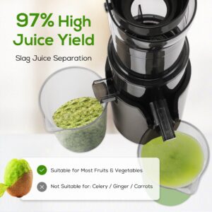 celiberry Cold Press Juicer, Masticating Juicer for Fruits Whole Lemon Orange & Vegetables | 97% Juice Yield, Max Nutrition, Electric Slow Juicer Machines with 2 Cups (BPA-Free, Divide Pulp)