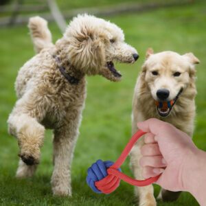 Deetenks 5 Pack Dog Chew Rope Toys Puppy Toys Sets Interactive Dog Toys Rope Toys Dog Teething Chew Toys for Dog (Random Color)